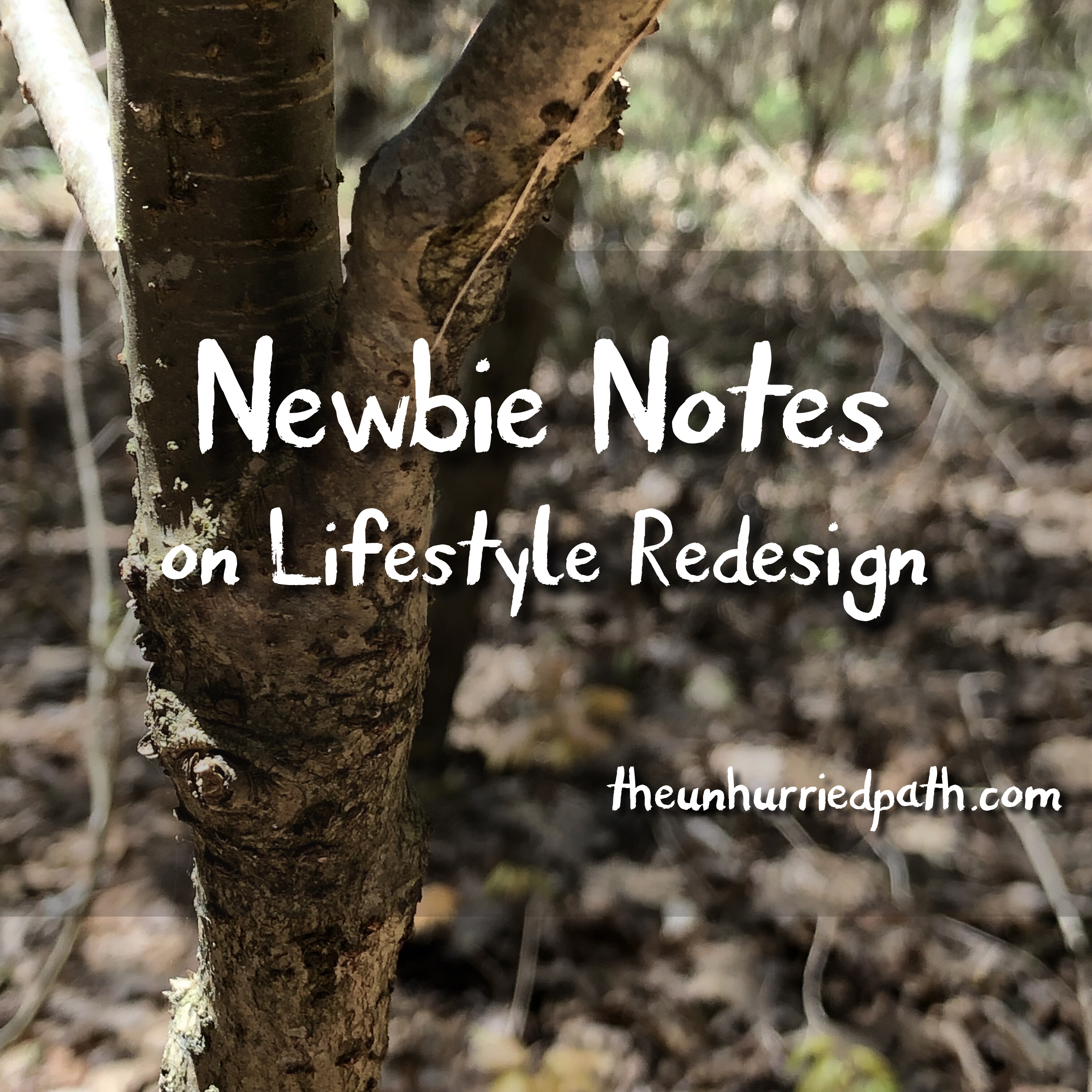 Newbie Notes: Lifestyle Redesign – the unhurried path
